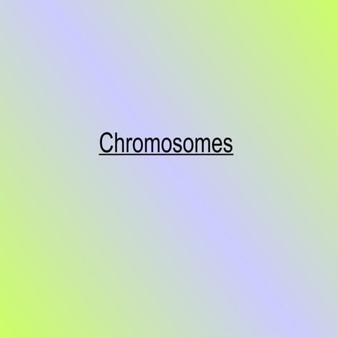 Chromosomes and relevant vocabulary | PPT