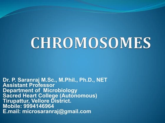 Chromosome Structure & Function | PPT