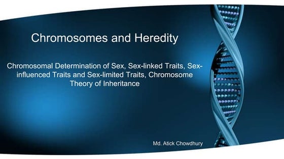 Genetics Simplified | PPT