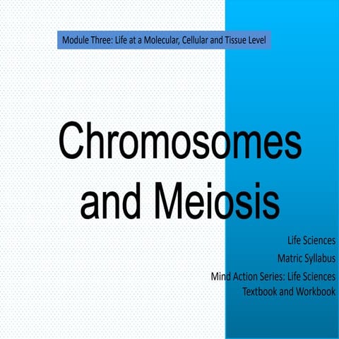 Chromosomes and meiosis | PPT