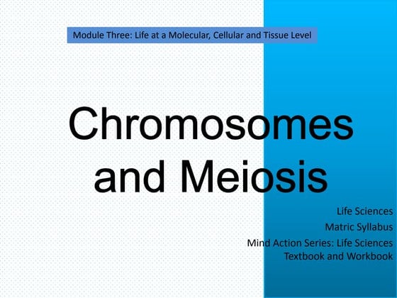 4.2 meiosis notes | DOC