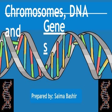 Chromosomes, DNA and Genes.pptx double helux | PPTX