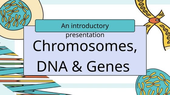 DNA - Poster | PDF