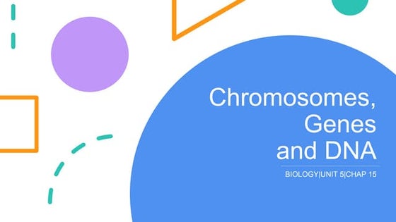 DNA, Genes, and Chromosomes2.ppt