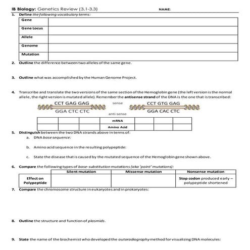 IB Chromosomes & Meiosis Review (3.1-3.3) | DOCX | Genetics | Science