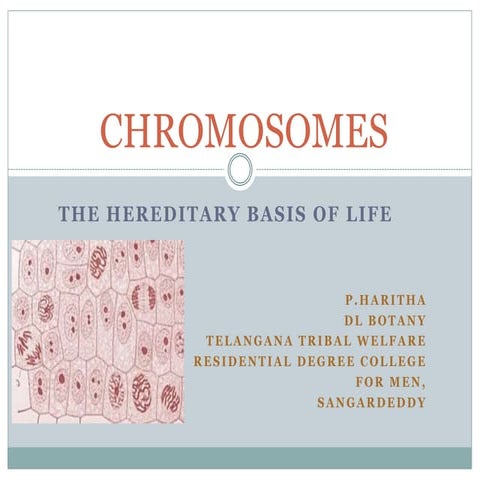 Chromosomes structure and morphology | PPT