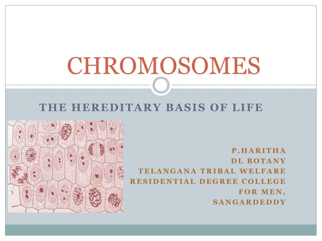 Chromosome Structure & Function | PPTX