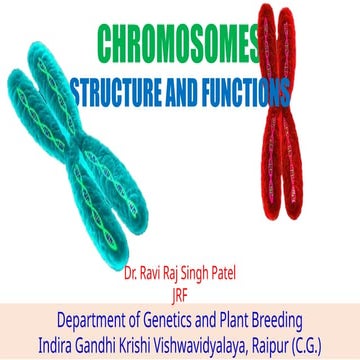 Chromosome Structure & Function | PPTX