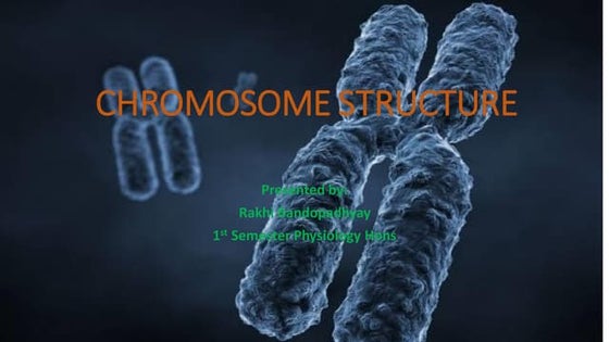 Chromosome Structure And Function Ppt