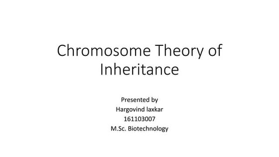 Chromosomal theory of inheritance | PPT
