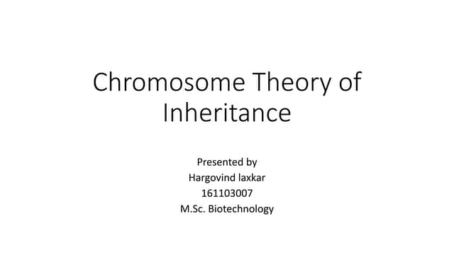 Chromosomal Theory Of Inheritance Ppt