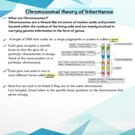 Chromosomal Theory of Inheritance Notes for student | PDF