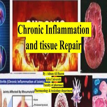 Chronic Inflammation and tissue Repair for pharmacy | PDF