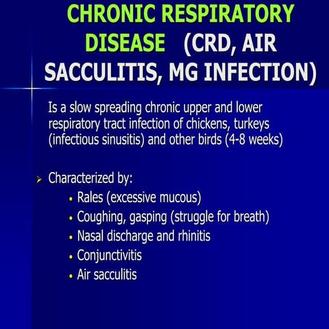 Chronic Respiratory Disease.ppt