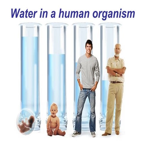 Water in human organism by Group4 | PPT