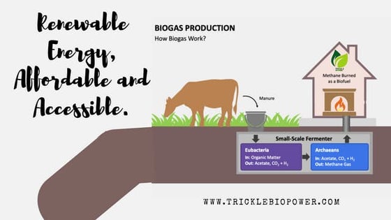 Waste to Power: Biogas Energy for a Cleaner Tomorrow! | PDF