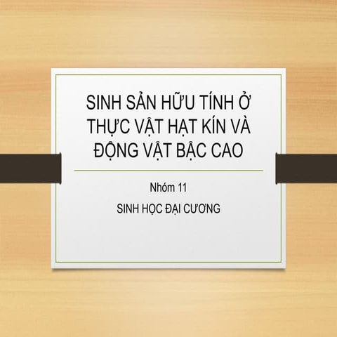 Chu Ky te bao va qua trinh nguyen phan, giam phan.pptx