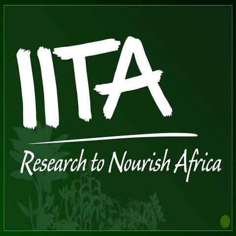 Chuma.e.nigeria.pres.ppt | Africa Travel | Travel Locations