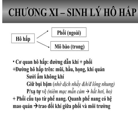 Chuong 11 ho hap | PPT