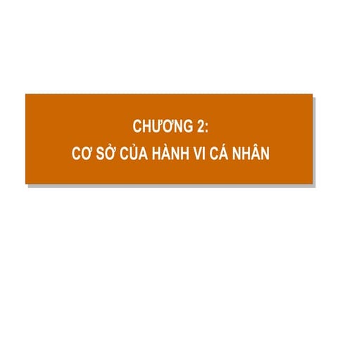 Chuong 2 - Co so hanh vi ca nhan.ppt