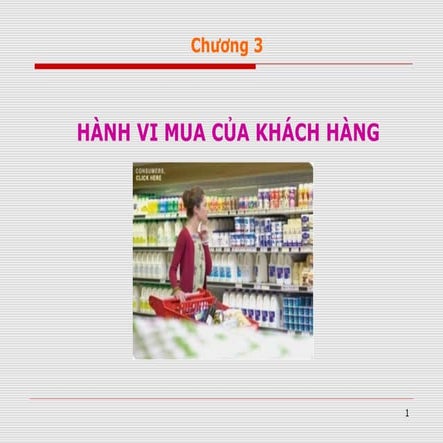 Chương 3 lý thuyết về hành vi của người tiêu dùng | PPT