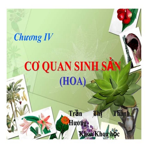 Hoa đồ hoa thức | PDF