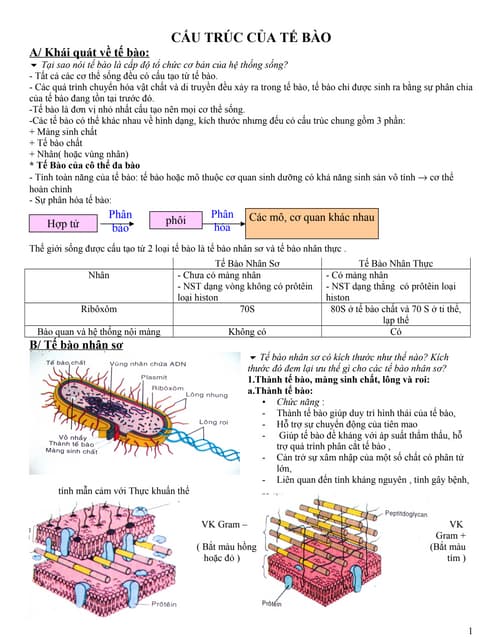 Bài 5 protein | PPT