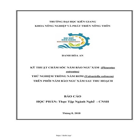 Kỹ thuật chăm sóc nấm bào ngư xám (pleurotus pleurotus) thử nghiệm ...