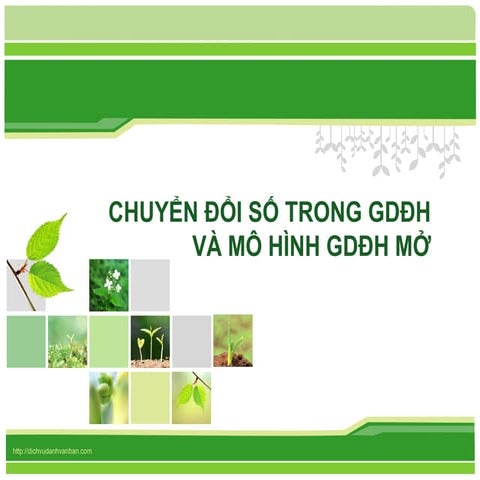 CHUYEN DOI SO TRONG GDDH VA PHAT TRIEN MO HINH GDDH MO.pptx