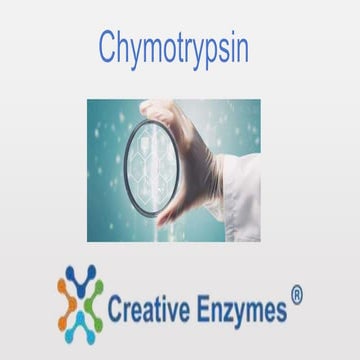Chymotrypsin Serine Protease Mechanism | PPTX