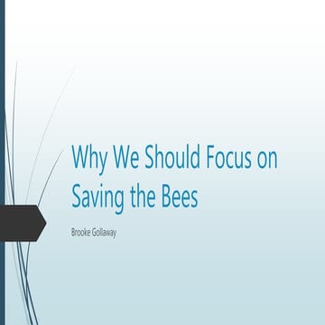 Why We Should Save the Bees | PPTX