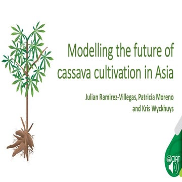 Modelling the future of cassava production in Asia | PDF | Agriculture ...