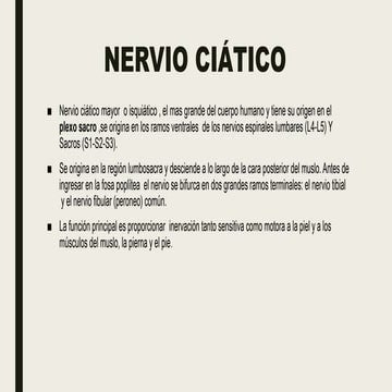 RESUMEN DE LESION DEL NERVIO CIATICO.pptx