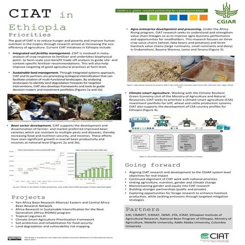 CIAT in Ethiopia | PPTX