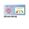 Cibil score check api | PPT
