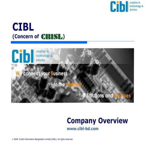 Cibl Company Overview | PPT