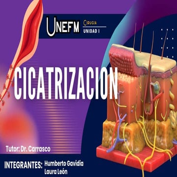Comprehensive Overview of Carbohydrates: Structure, Classification, and ...