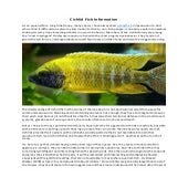 Cichlid fish information | DOCX | Zoos & Aquariums | Attractions