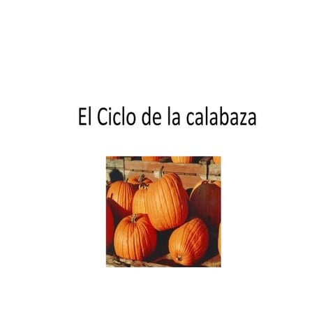 Hoja De Trabajo Sobre El Ciclo De Vida De Una Calabaza El Zapallo De