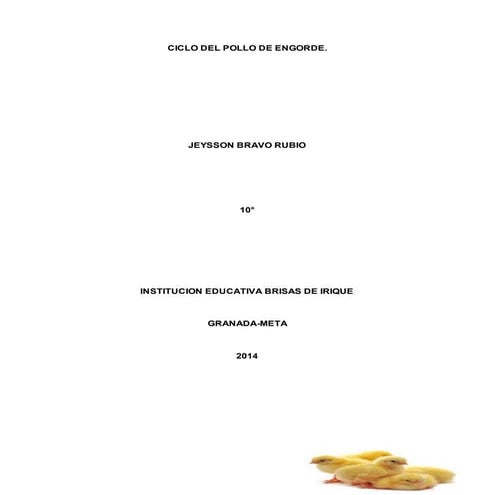 Ciclo de-produccion-pollo | DOCX