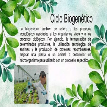 Ciclo Biogenético, los tipos .causas, importancia | PPTX
