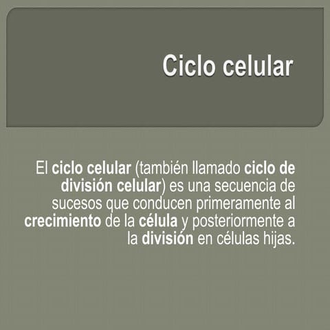 Ciclo celular | PPTX