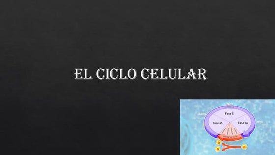 EL_CICLO_CELULAR_ppt.pptxCCCCCCCCCCCCCCC | PPT