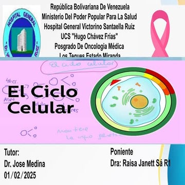 Ciclo celular.pptx. Ciclo celular....... | PPTX