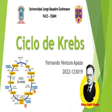 CICLO DE KREBS DESCRITO PASO A PASO_ TEMAS SELECTOS DE QUIMICA | PPTX