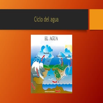 The Water Cycle: English and Spanish | PPTX