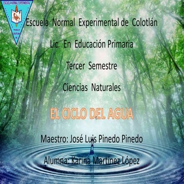 The Water Cycle: English and Spanish | PPTX