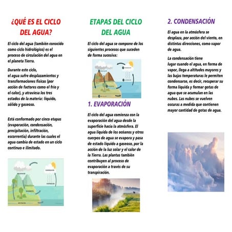 Fases Del Ciclo Del Agua