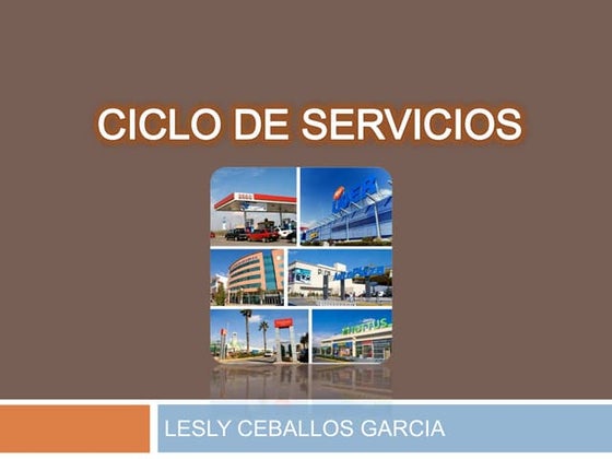 NORMAS, ESTRATEGIAS, Y MEDIOS TECNOLÓGICOS PARA LA ATENCIÓN Y SERVICIO ...