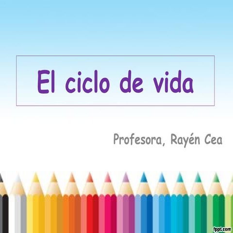 Ciclo de vida | PPT